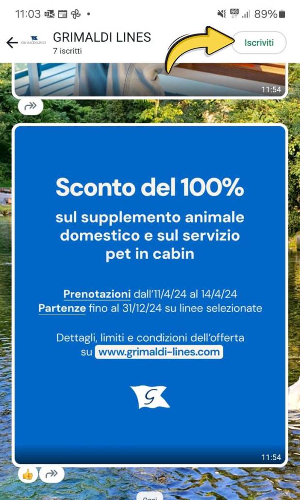 Canale Whatsapp Grimaldi Lines - Grimaldi Lines